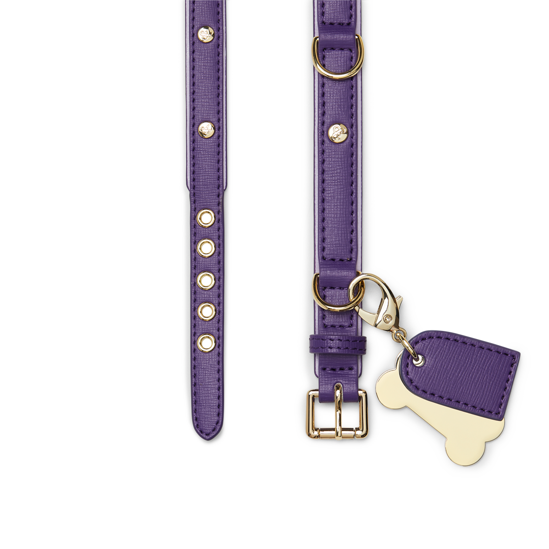 Luxury Dog Collar | Purple - Lilac – Tommy & Bella