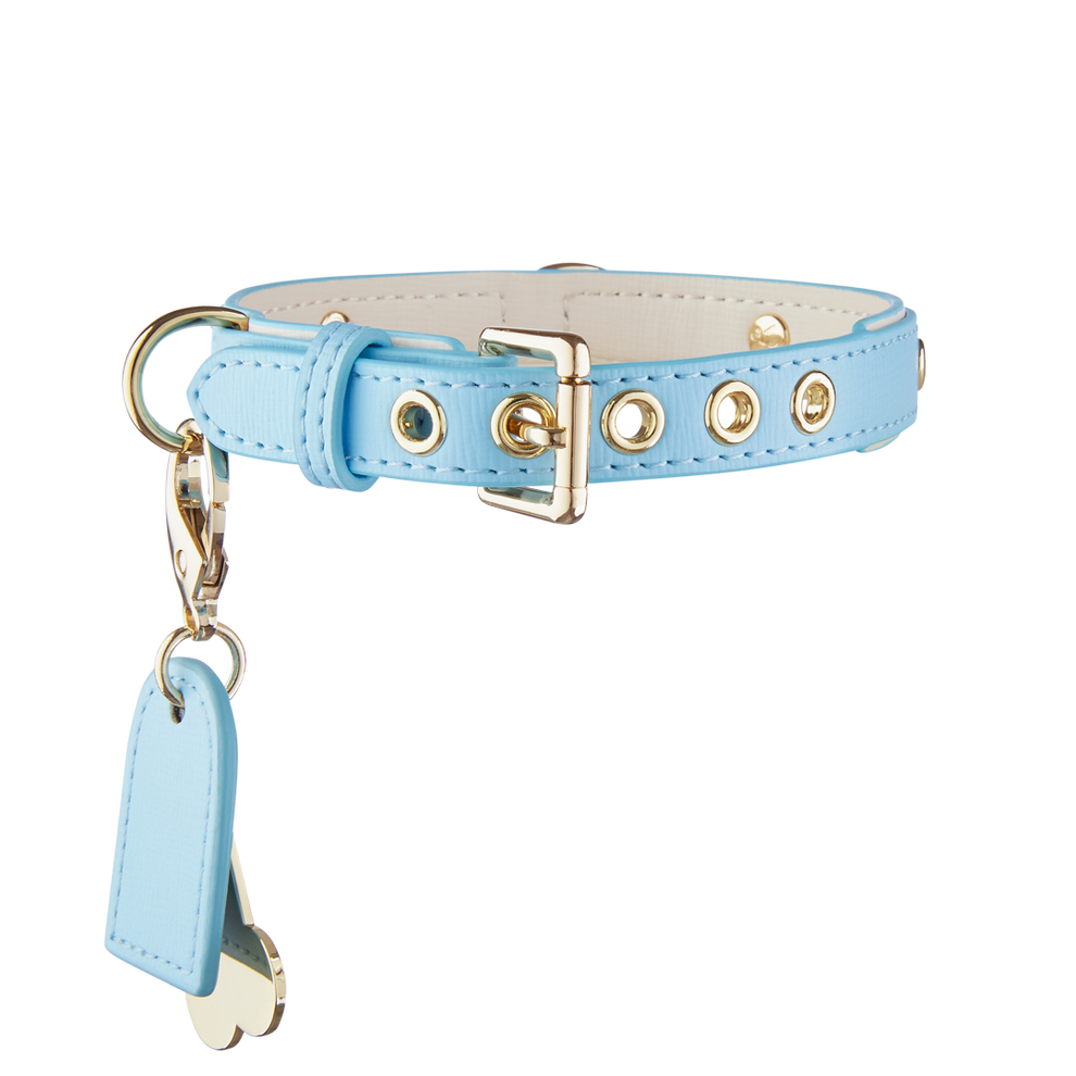 Luxury Dog Collar | Light Blue - White – Tommy & Bella