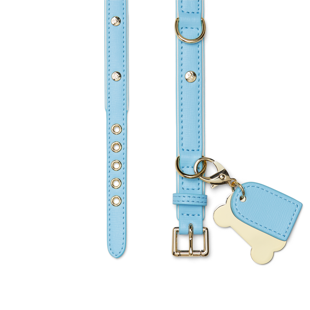 Luxury Dog Collar | Light Blue - White – Tommy & Bella