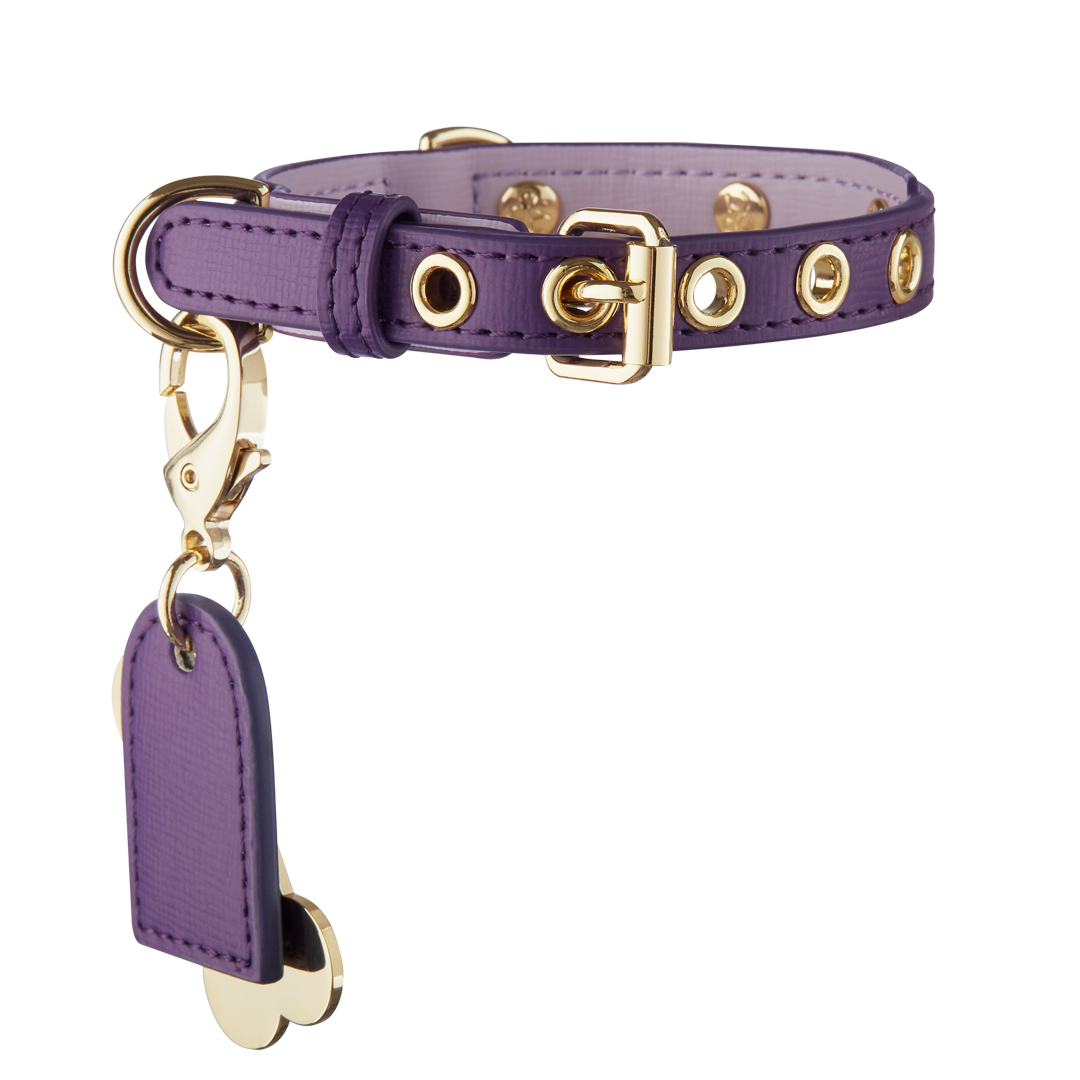 Luxury Dog Collar | Purple - Lilac – Tommy & Bella