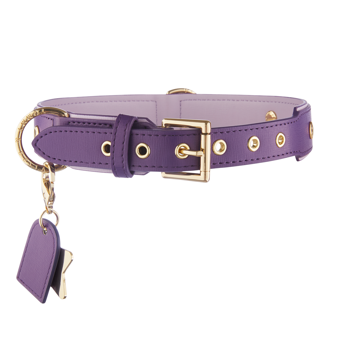 Luxury Dog Collar | Purple - Lilac – Tommy & Bella