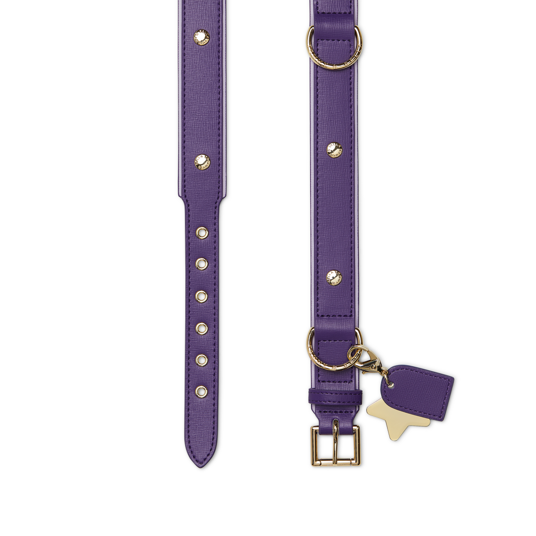 Luxury Dog Collar | Purple - Lilac – Tommy & Bella