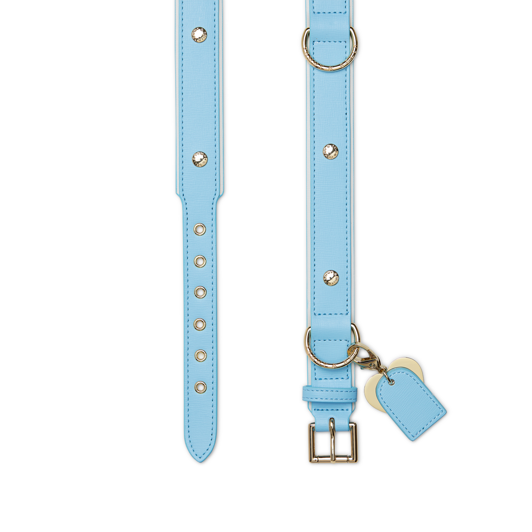 Luxury Dog Collar | Light Blue - White – Tommy & Bella