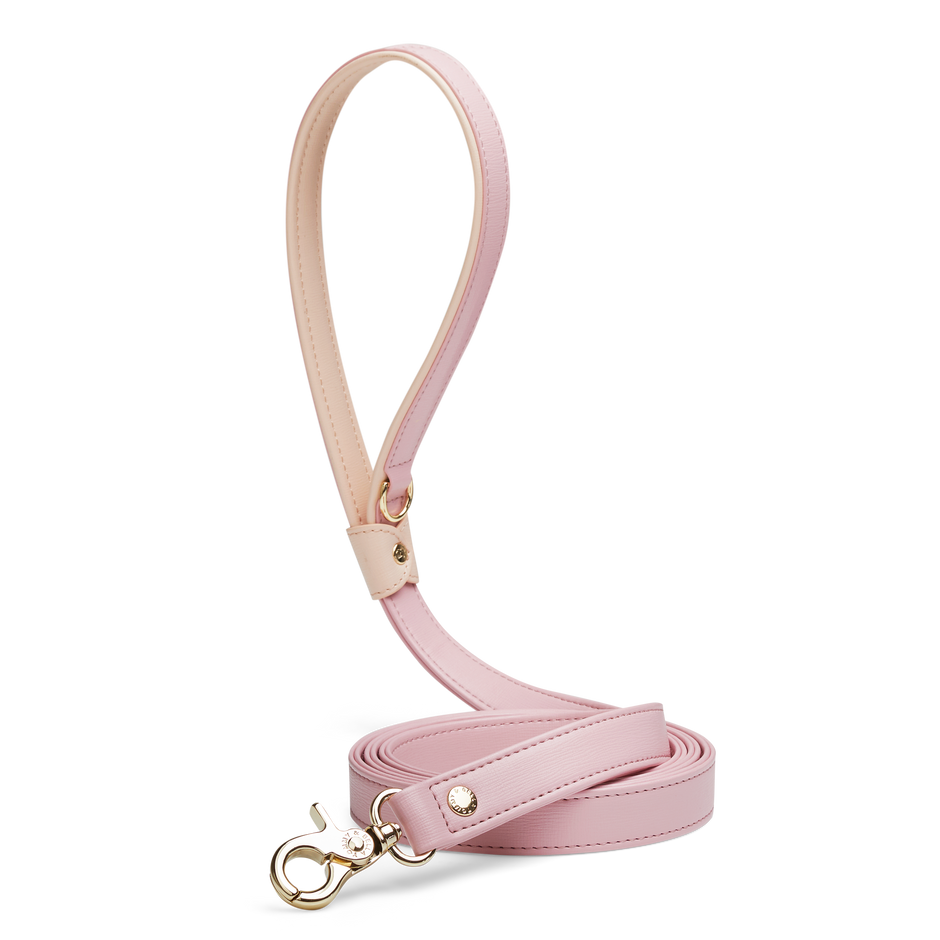 Designer Dog Leashes | Luxury Leather Dog Leads – Tommy & Bella